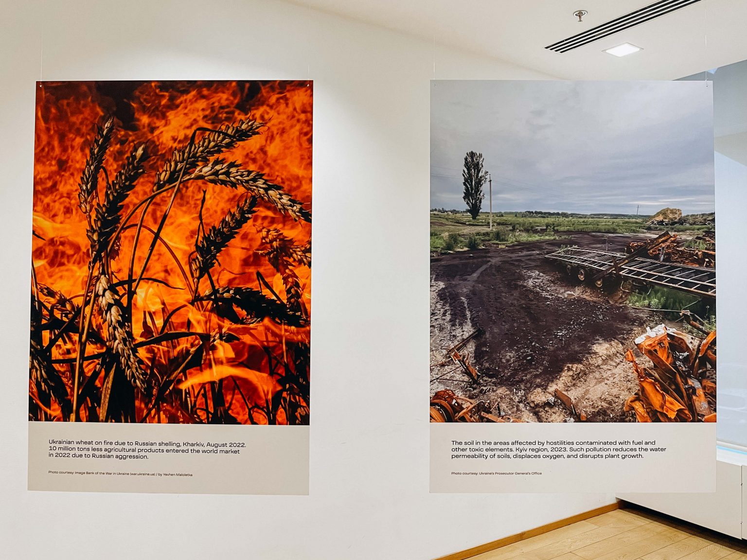 Ecocide in Ukraine won’t go unpunished. United for Justice. United for ...